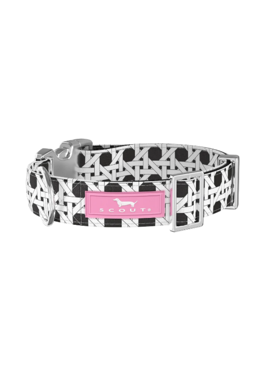 SCOUT | Dog Collar - Cande Fonda | Jincy's Southern Exchange